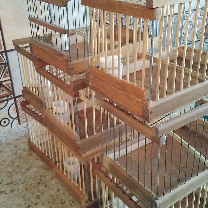 Переноска для птиц