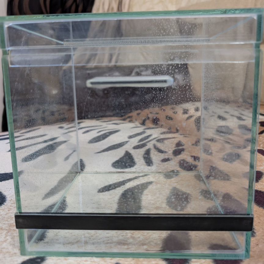 Террариум 20x20x20