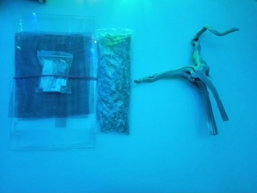 Террариум для богомола