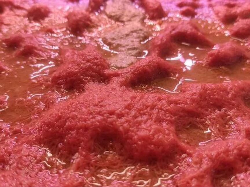 Трубочник для домашнего разведения(Изя)