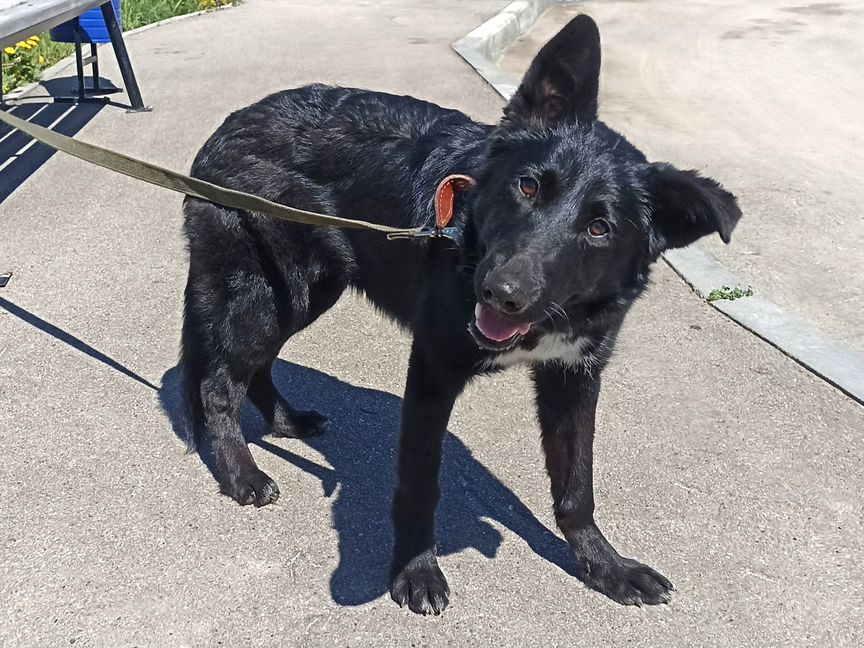 Без вины виноватая Лушенька