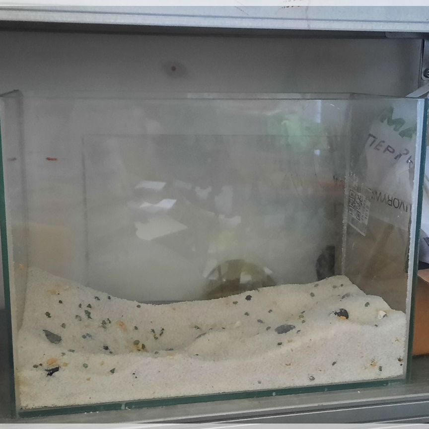 Аквариум 15 л