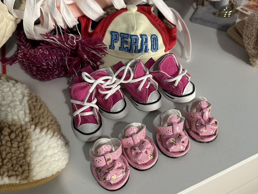 Бесплатный набор для маленькой собачки