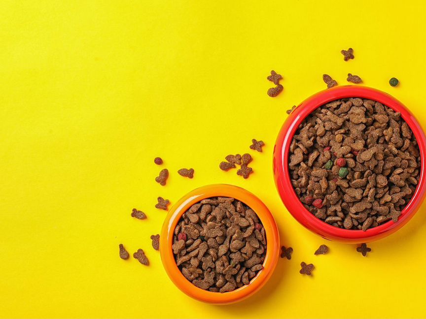 Корма для собак и кошек оптом