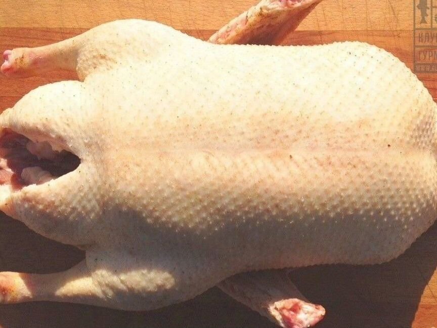 Продаются тушки гуся