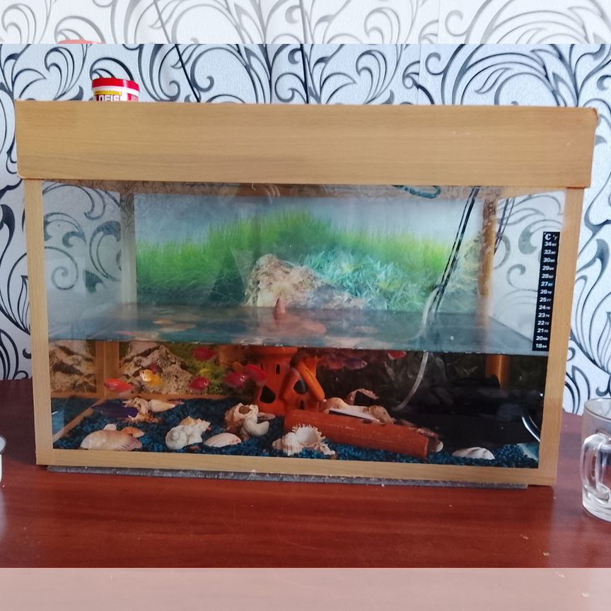 Аквариум и рыбки