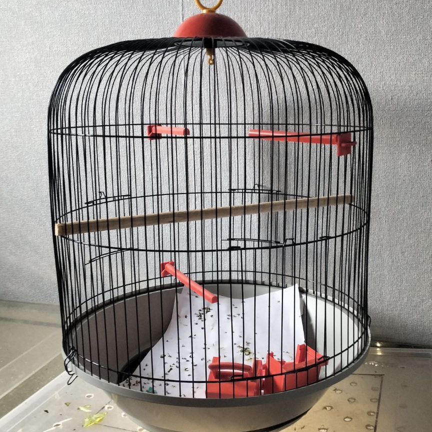 Клетка для попугая