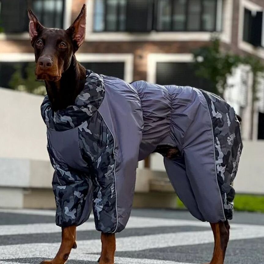 Одежда для собак средних и крупных пород