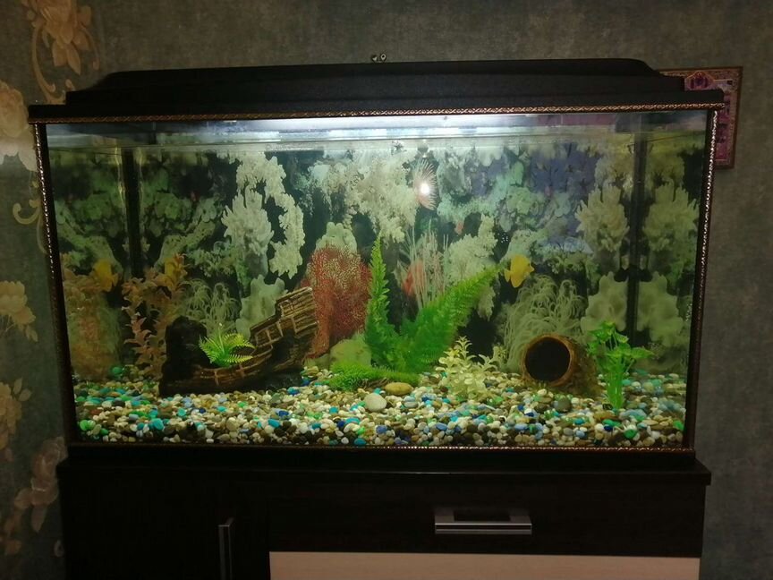 Аквариум 220 литров