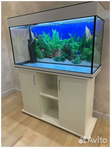 Аквариум