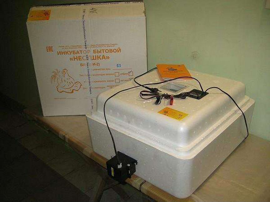 Инкубатор
