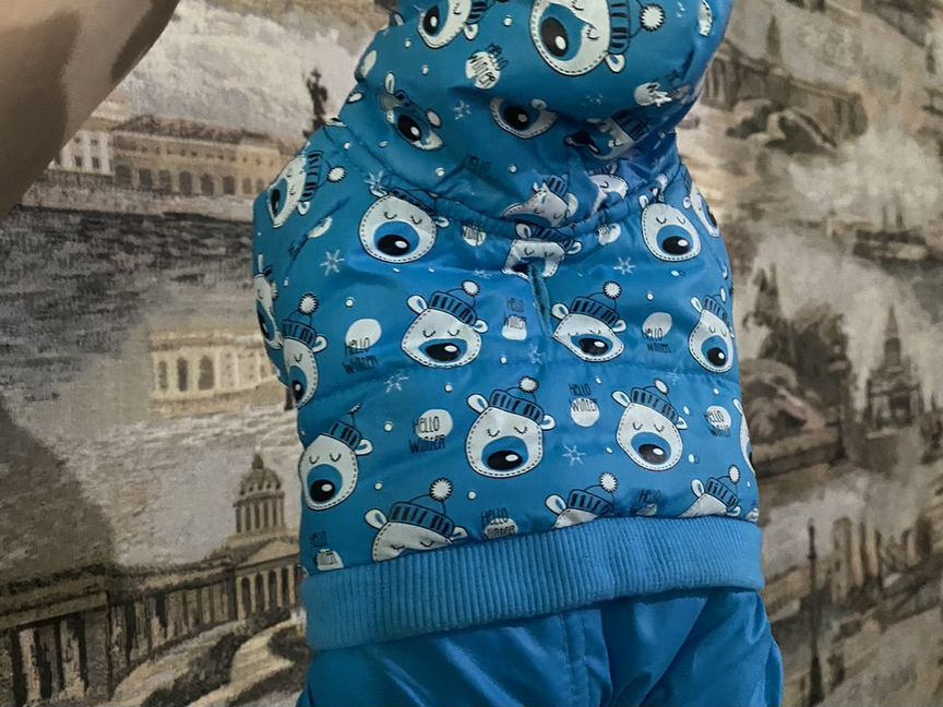 Одежда для собак