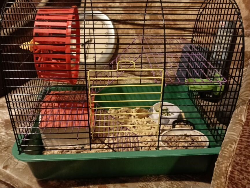 Клетка для грызуна б/у