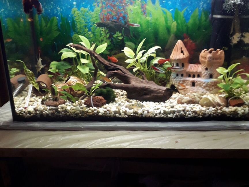 Аквариум 40 л