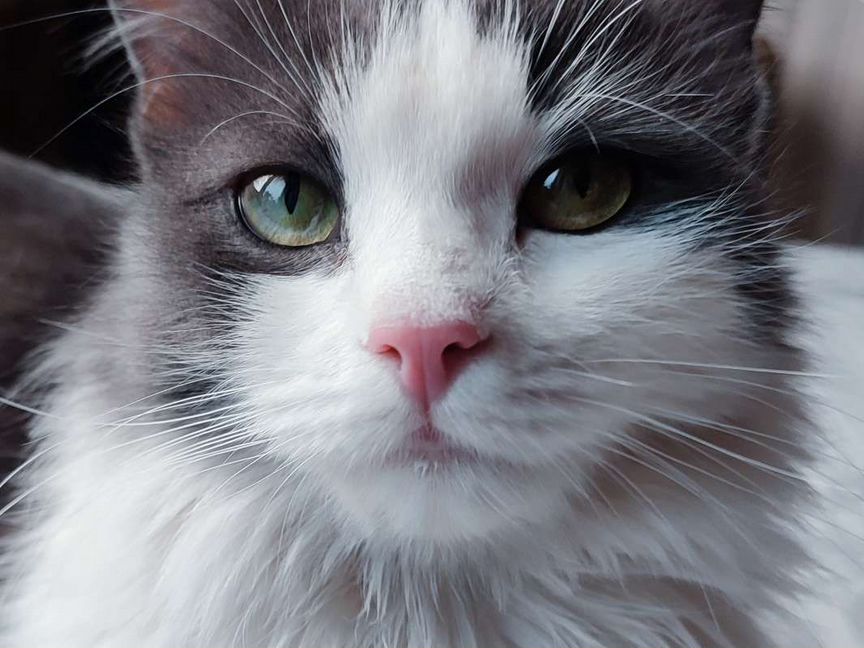 Марфа Васильевна