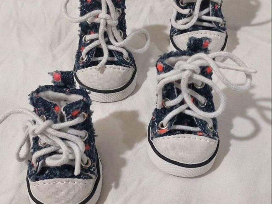 Кросовки для маленькой и средней собачки