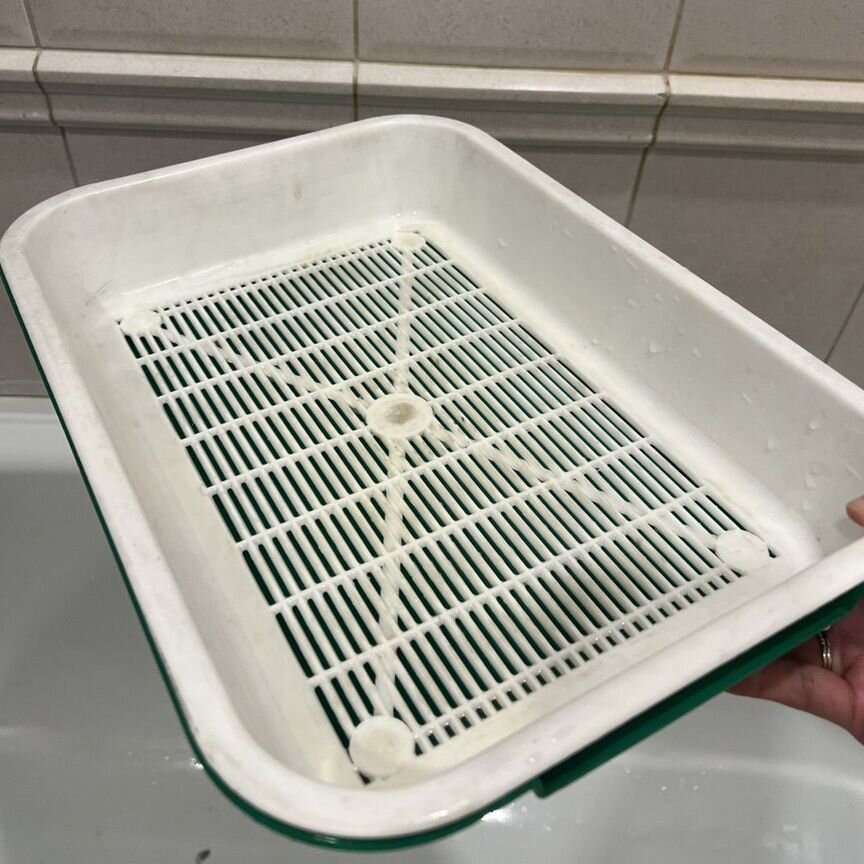 Бесплатно лоток б/у