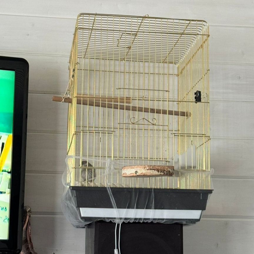 Клетка для попугая корелла в спб