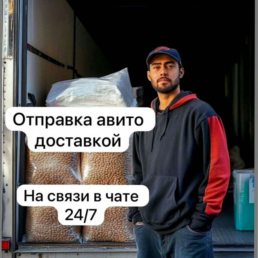 Корм для собак