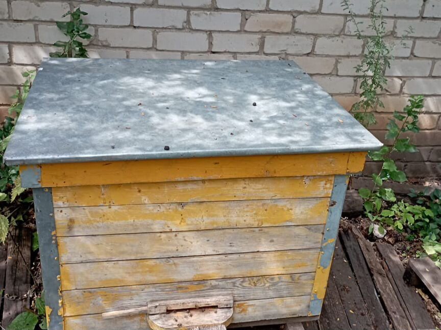 Улей для пчел на 12 рамок