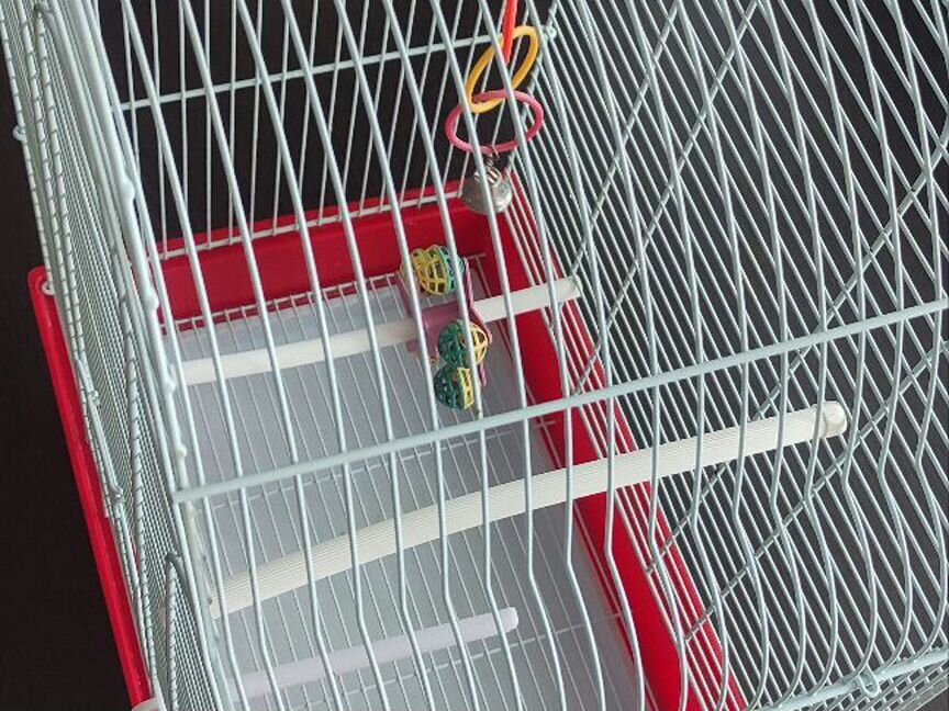 Клетка для попугая бу