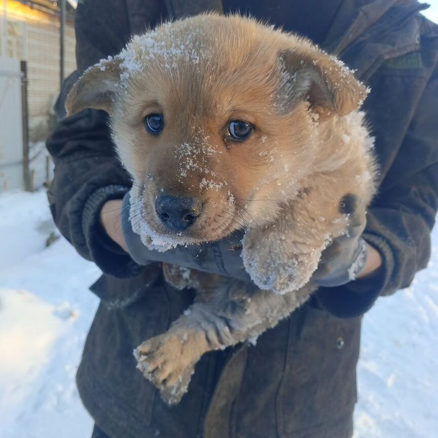 Маленький малыш