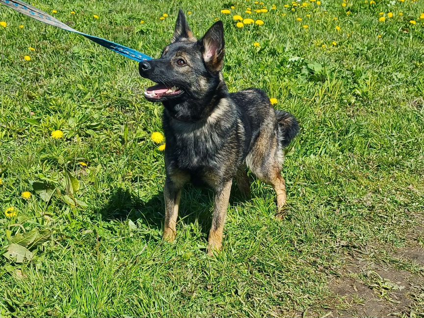 Самый,самый ищет семью