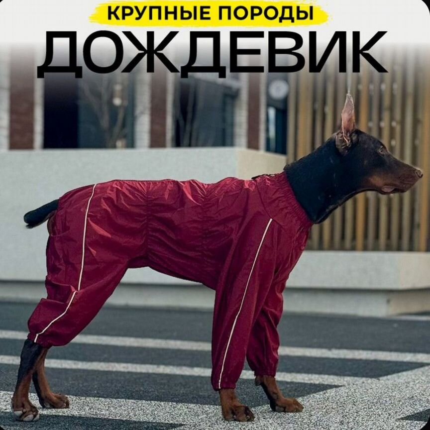 Дождевик для собак новый