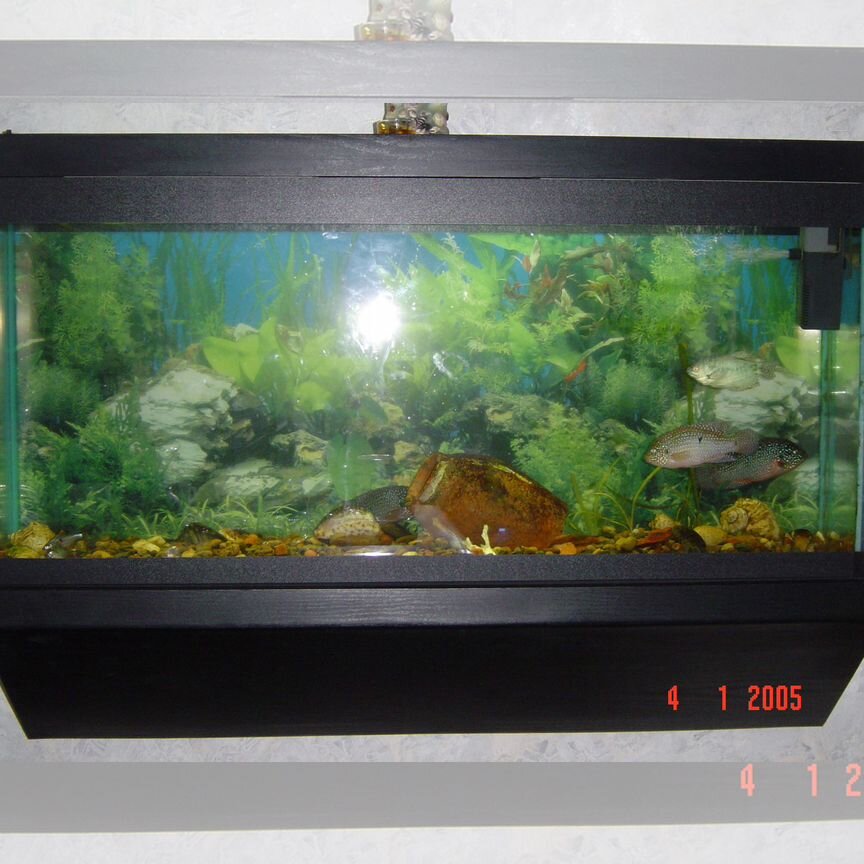 Настенная подставка под аквариум - ширму