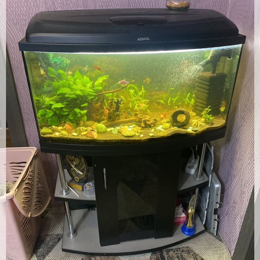 Аквариум с тумбой бу