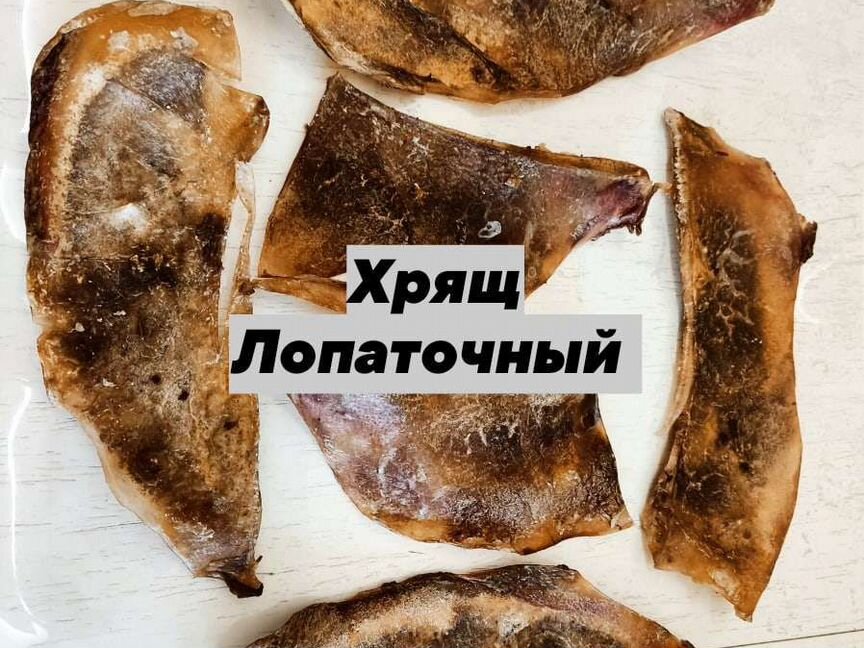 Хрящ лопаточный