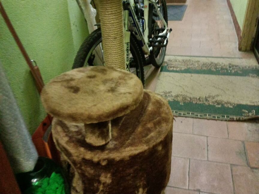 Кошкин дом бу