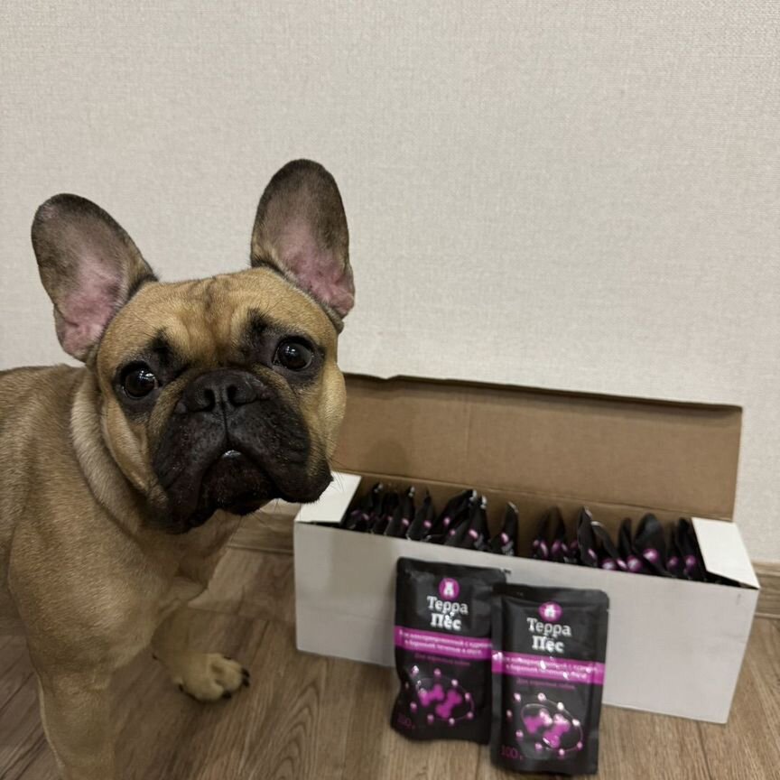 Терра пес (для взрослых собак)