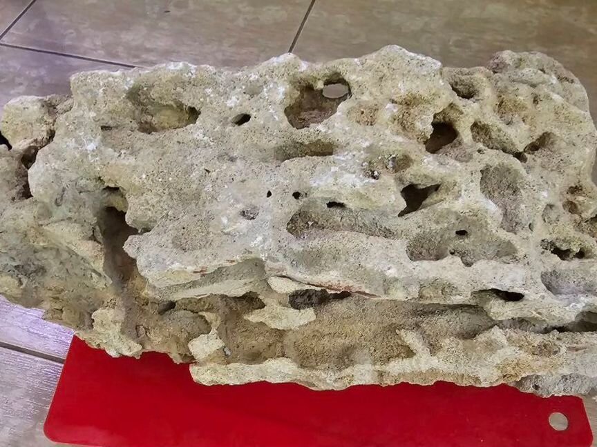 Камень в аквариум