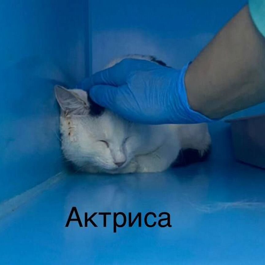 Актрису ждет улица. Она хочет домой, в тепло