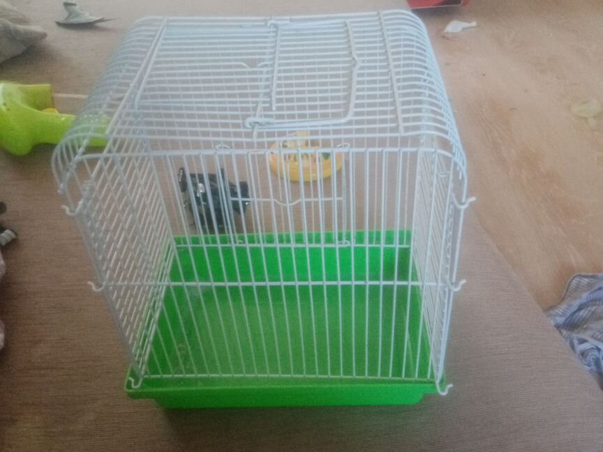 Клетки для грызунов