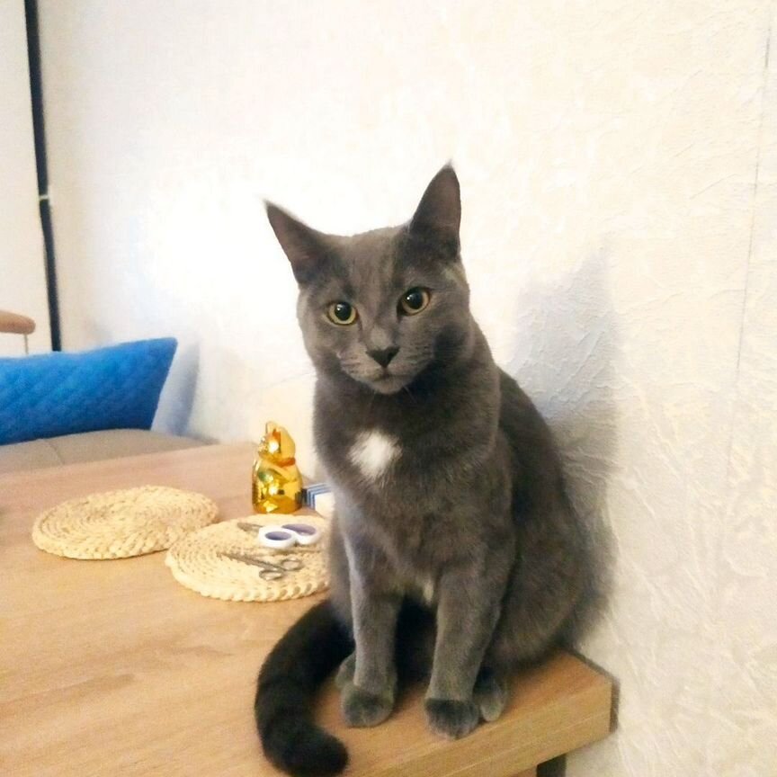 Семён