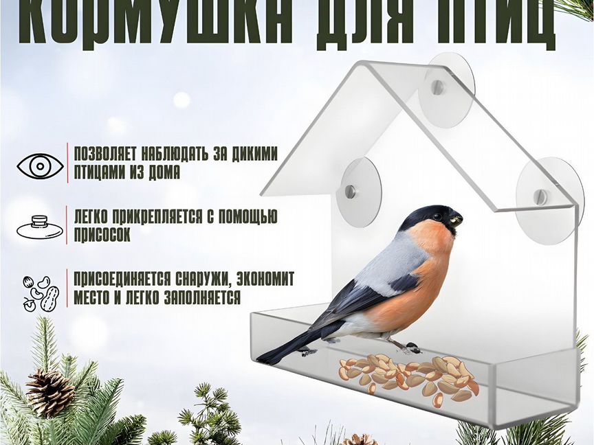 Кормушка для птиц на окно прозрачная