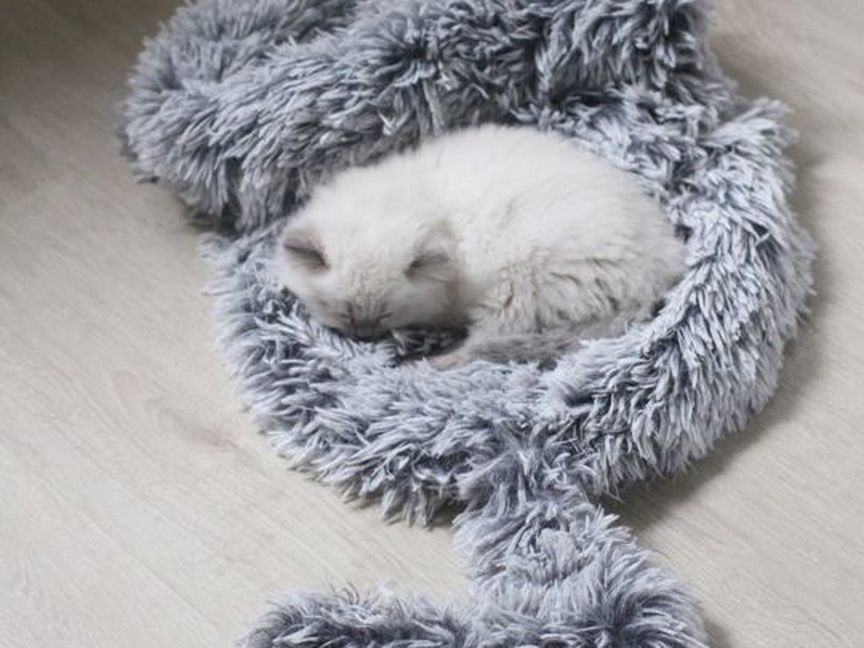 Спальный мешок для кошки лежанка коврик
