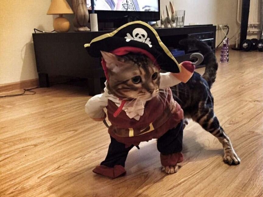 Костюм пирата, шлейка рюкзак