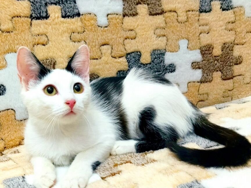 Очаровательная девочка ищет свою семью