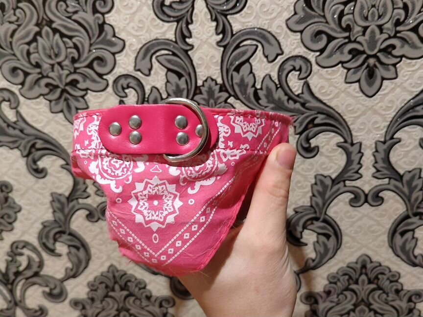 Ошейник для собак