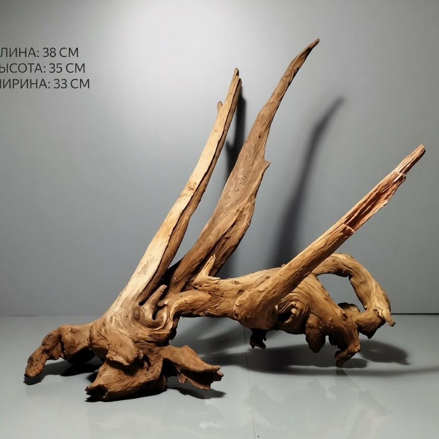 Мангровая коряга 38*33*35 см. вк61