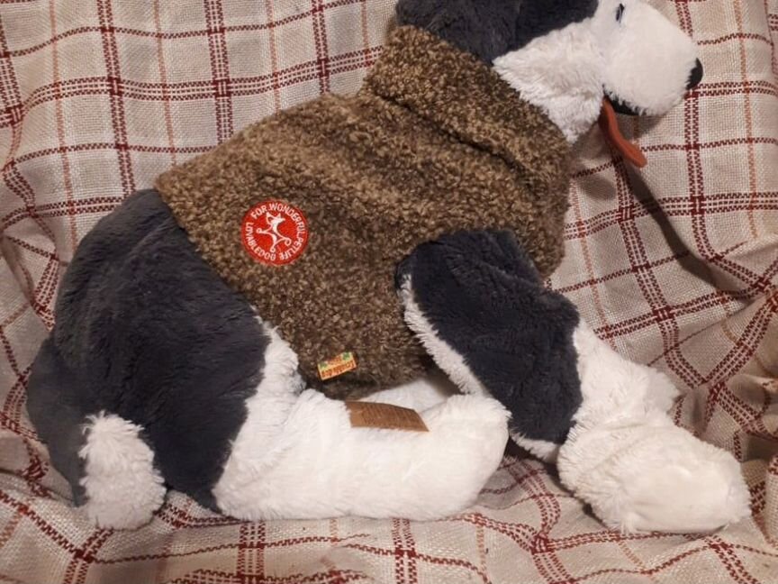 Одежда для собаки