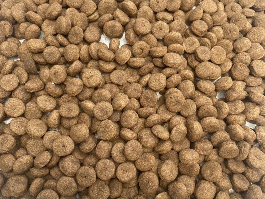 Корм для собак 15 кг / Премиум с доставкой