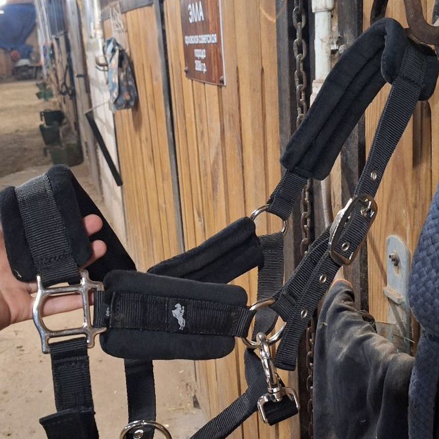 Недоуздок для лошади cob