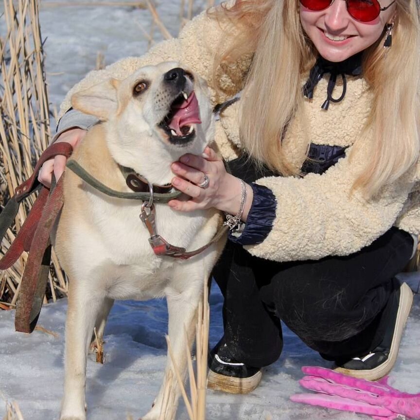 Малыш ищет дом