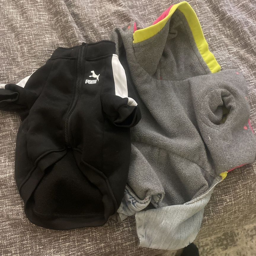 Джемпер мужской, одежда для собаки