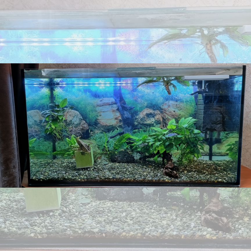 Аквариум 120л