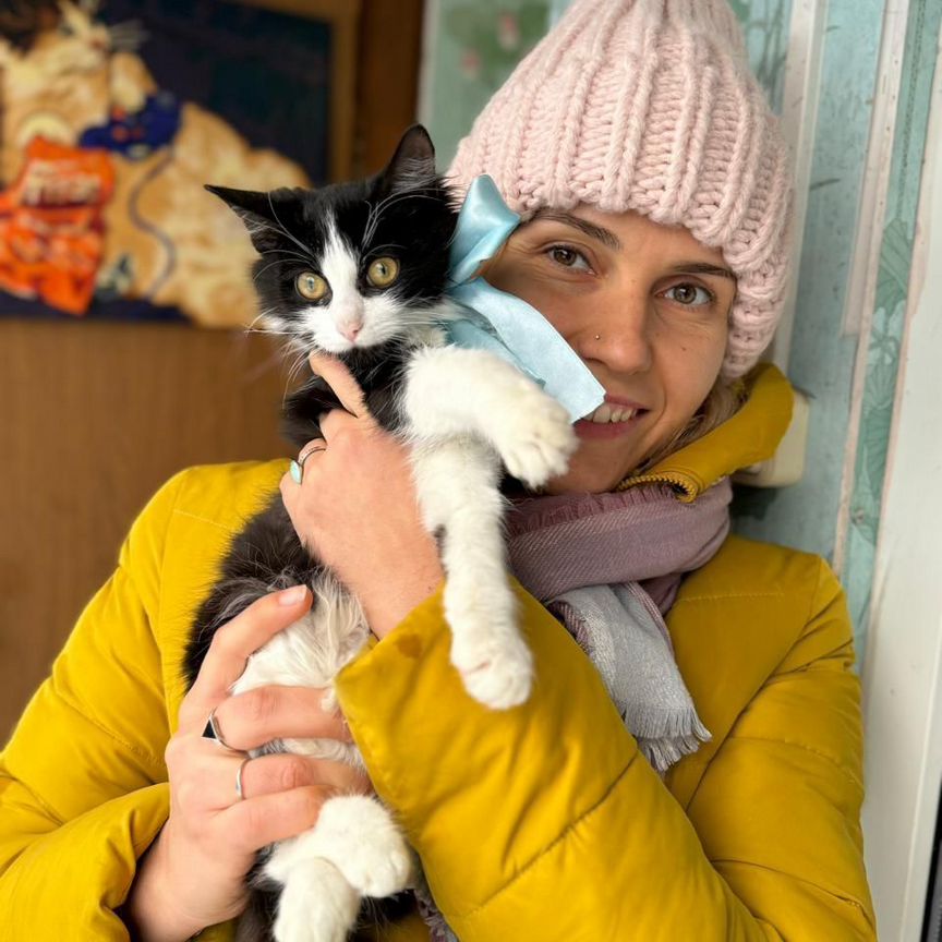 Котенок из приюта нуждается в семье